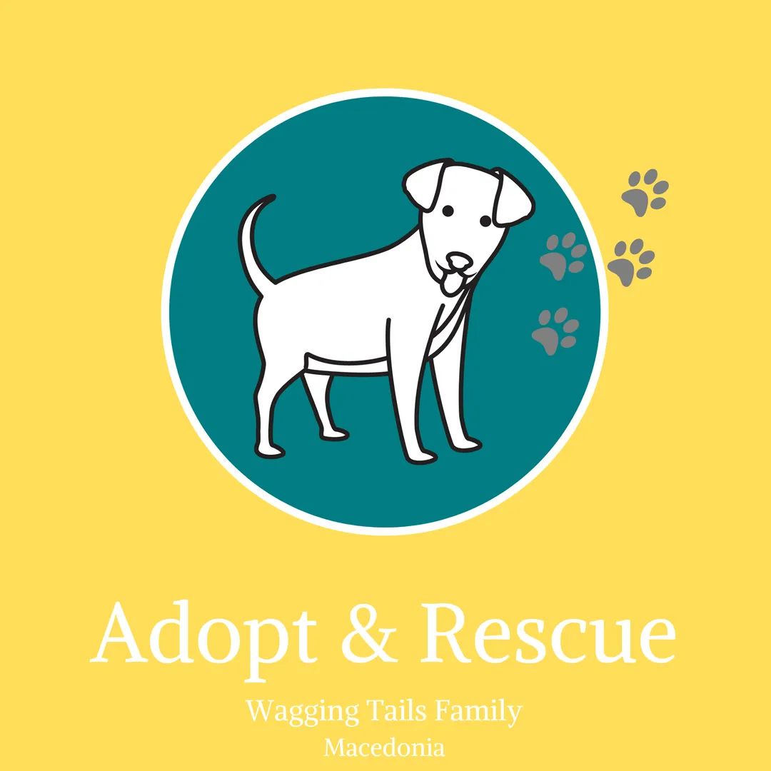 Adopt and Rescue- Wagging Tails Family - Teaming Group