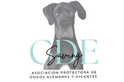 Saving GDE - Teaming Group