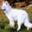 Hallo liebe tierfreunde mein Name ist Heinz und ic... - Foro de ...